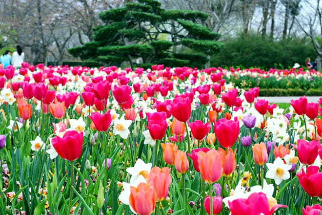 Dallas Arboretum And Botanical Garden — Casa View