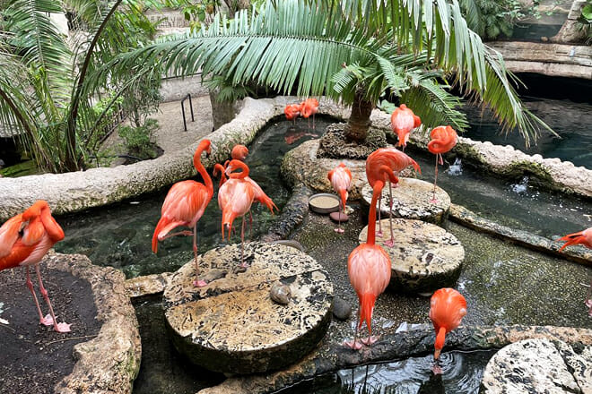 Dallas World Aquarium