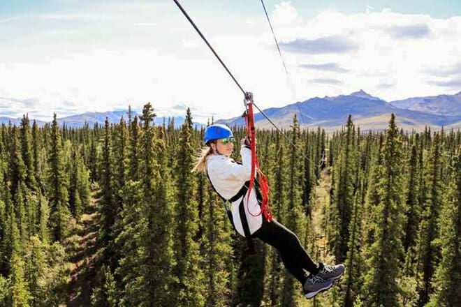 Denali Park Zipline Adventure &mdash; Denali National Park
