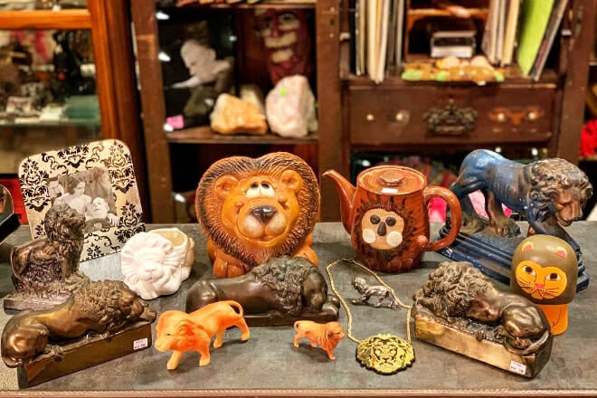 Dolly Python &mdash; Uptown Dallas