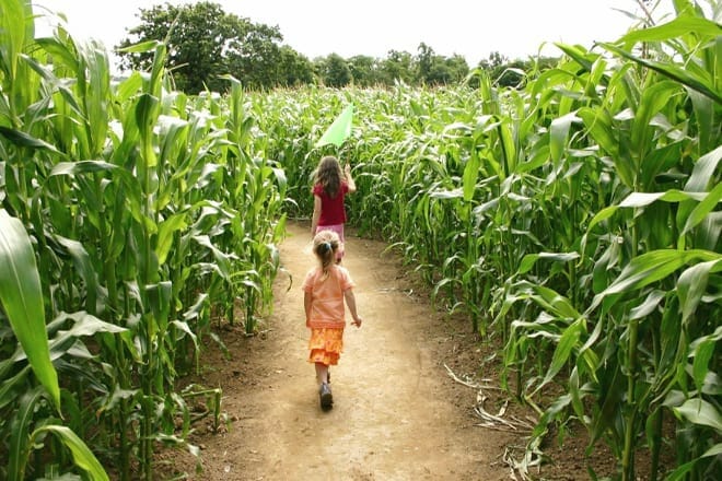 Farm LIFE &mdash; Lanesville