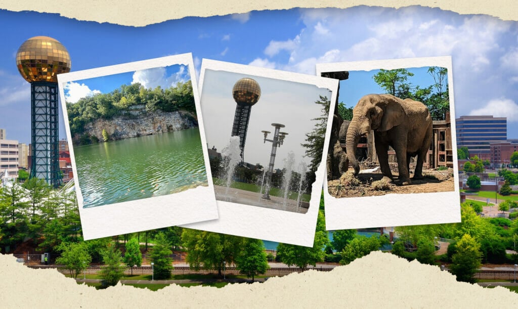 fun things to do in knoxville with kids travel photo