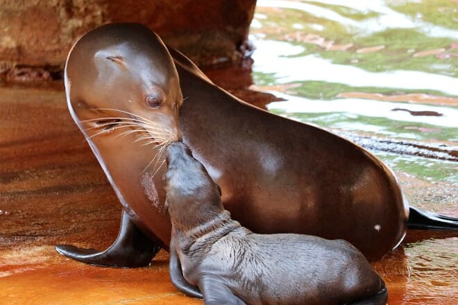 Henry Doorly Zoo And Aquarium &mdash; Omaha
