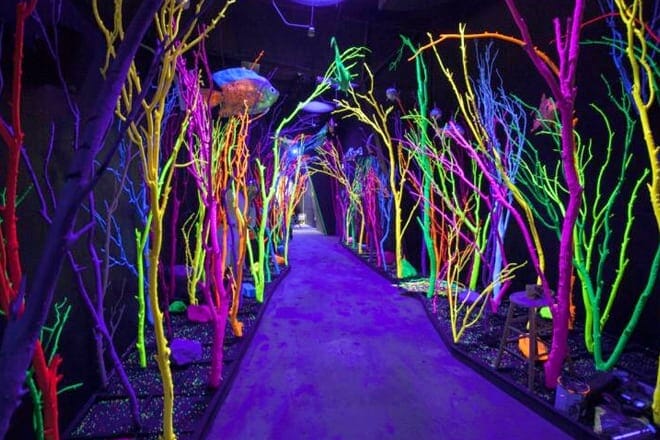 House of Eternal Return &mdash; Santa Fe