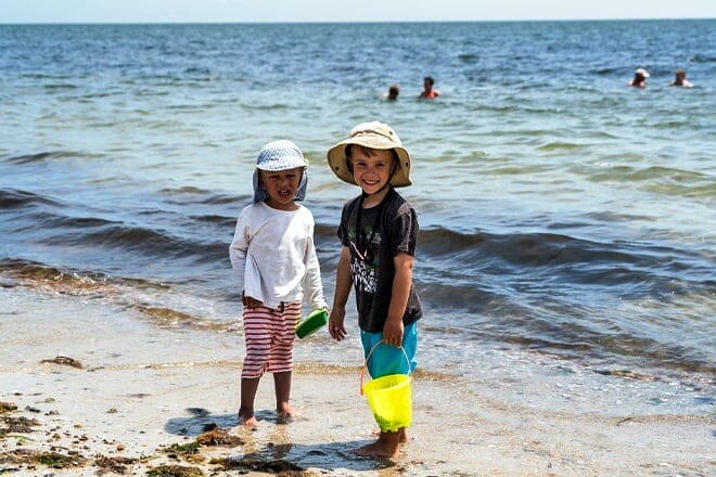 Hunt Seashells — Various Locations