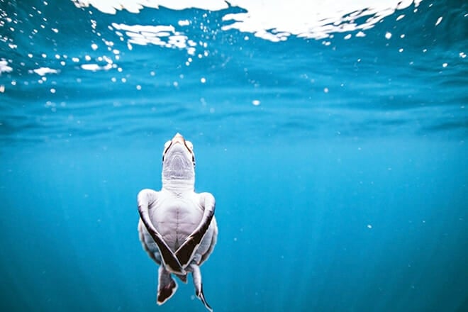 Imax Theater &mdash; Downtown Riverfront