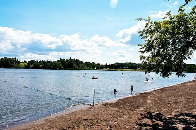 Icelandic State Park Beach — Cavalier