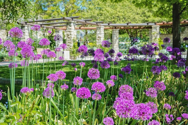 Idaho Botanical Garden &mdash; East End