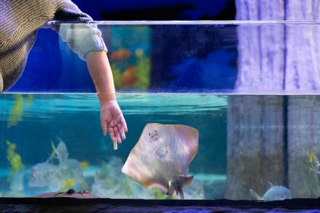 Loveland Living Planet Aquarium &mdash; Draper