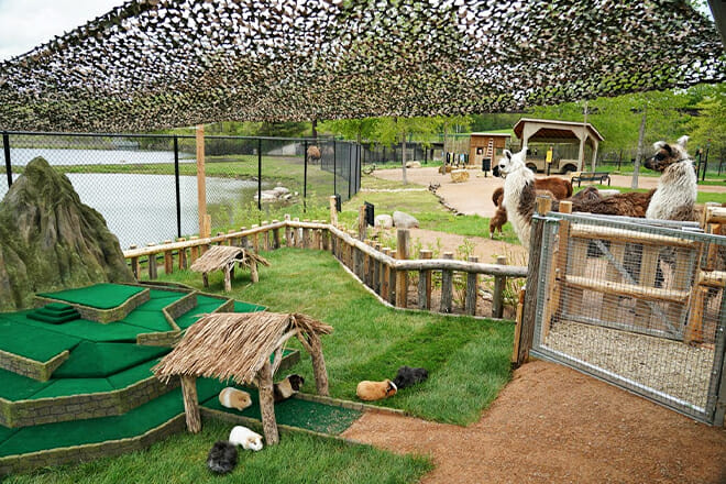 Minnesota Zoo &mdash; South St. Paul