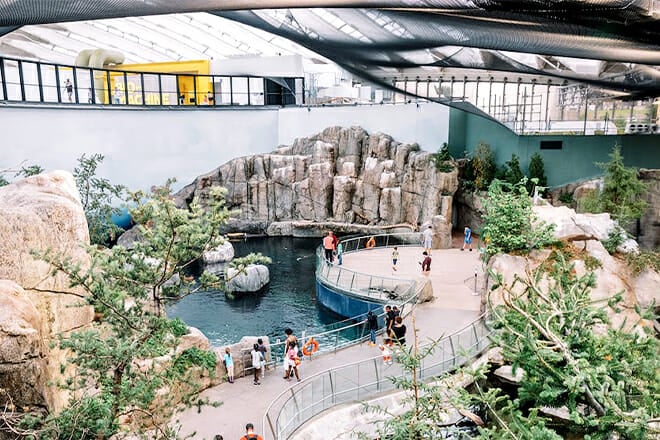 Montreal Biodome &mdash; Pierre De Coubertin Avenue