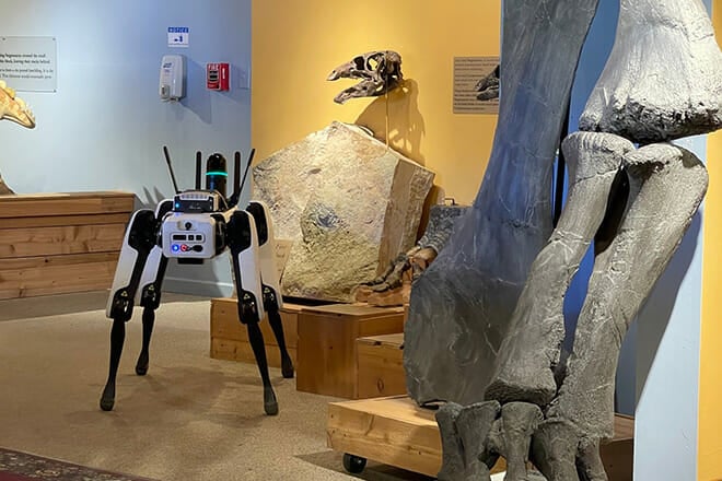 Morrison Natural History Museum