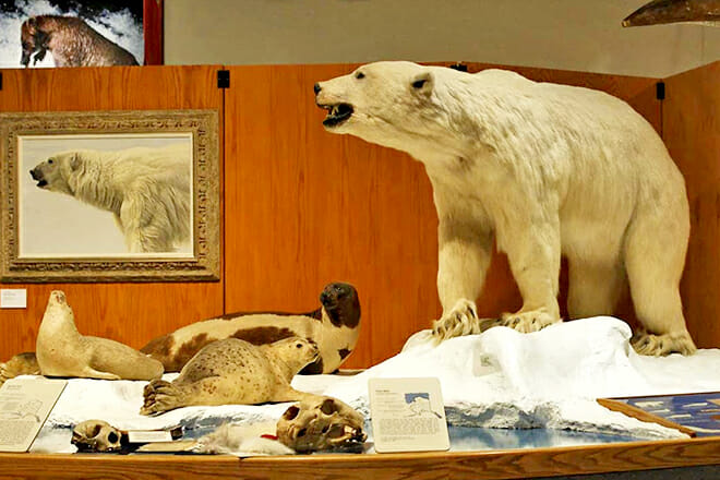Museum Of The North &mdash; Fairbanks