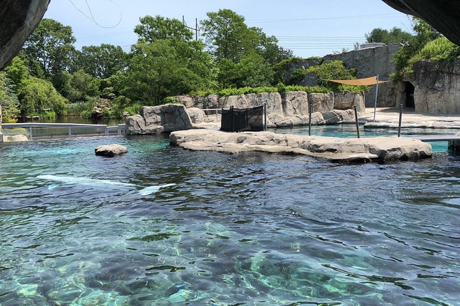 Mystic Aquarium
