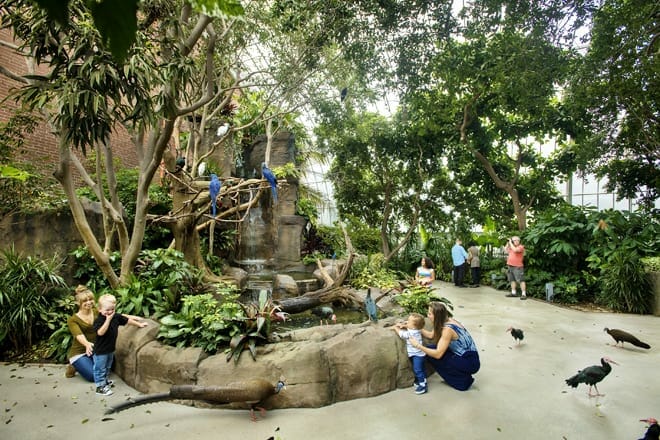 National Aviary &mdash; North Side