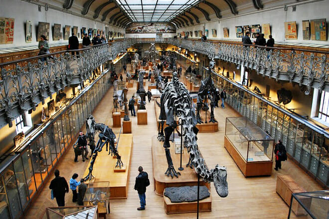 Natural History Museum &mdash; Rue Cuvier