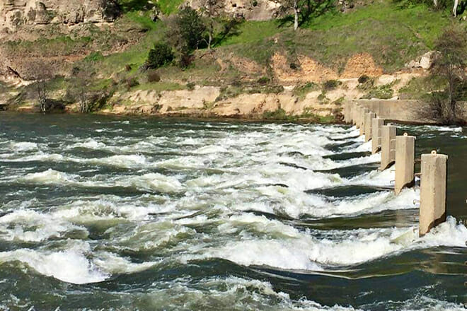 Nimbus Fish Hatchery — Gold Power