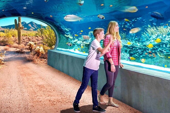 OdySea Aquarium &mdash; South Scottsdale