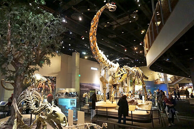 Perot Museum Of Nature And Science &mdash; Downtown Dallas