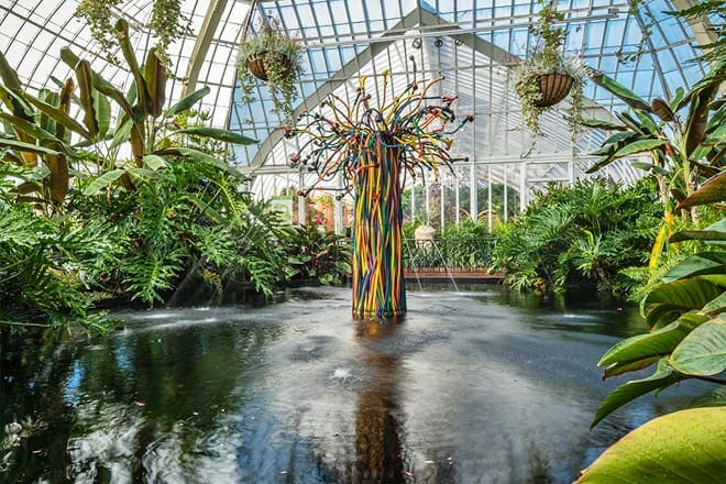 Phipps Conservatory and Botanical Gardens &mdash; East End