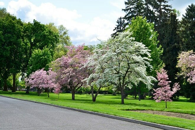 Pioneers Park Nature Center &mdash; Lincoln