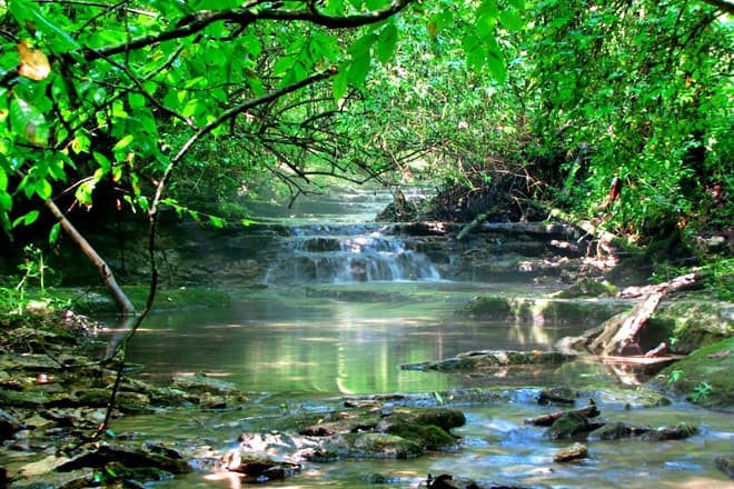 Raven Run Nature Sanctuary