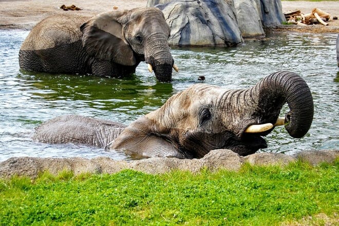 Roger Williams Park Zoo &mdash; Providence