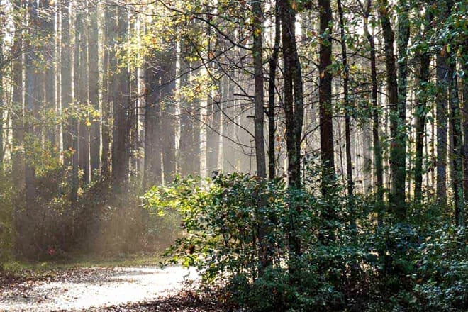 Savannah National Wildlife Refuge &mdash; Chatham County