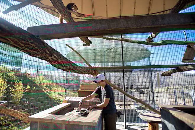 Smithsonian Conservation Biology Institute &mdash; National Zoo