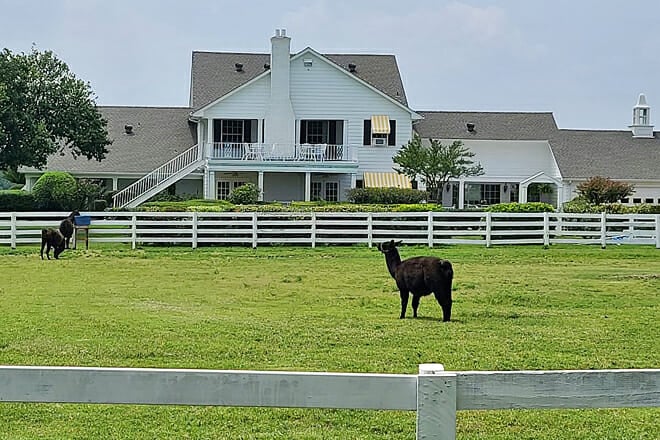 Southfork Ranch and the Series Dallas