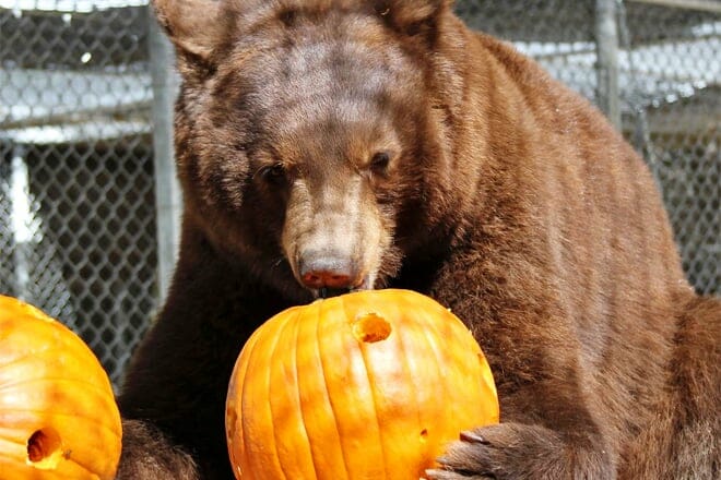 Southwest Wildlife Conservation Center &mdash; North Scottsdale