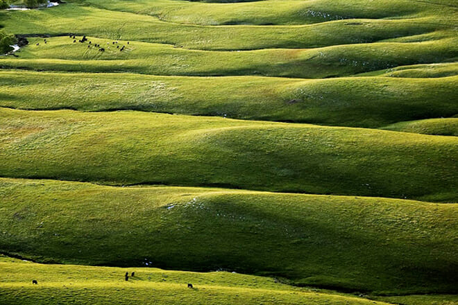 Tallgrass Prairie National Preserve &mdash; Strong City