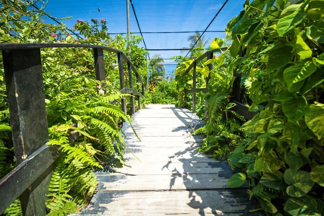 The Butterfly Farm &mdash; Palm Beach