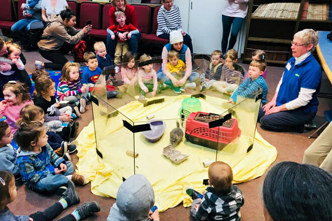 The Ecotarium &mdash; Worcester