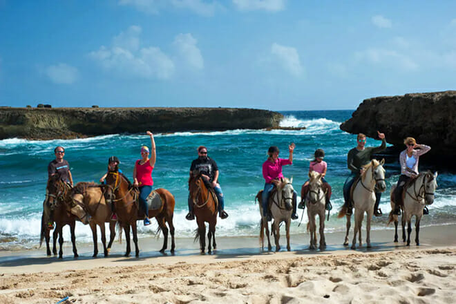 The Gold Mine Ranch Horseback Riding Tours &mdash; Matividri