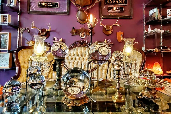 The Strange And Unusual Oddities Parlor &mdash; Kingston