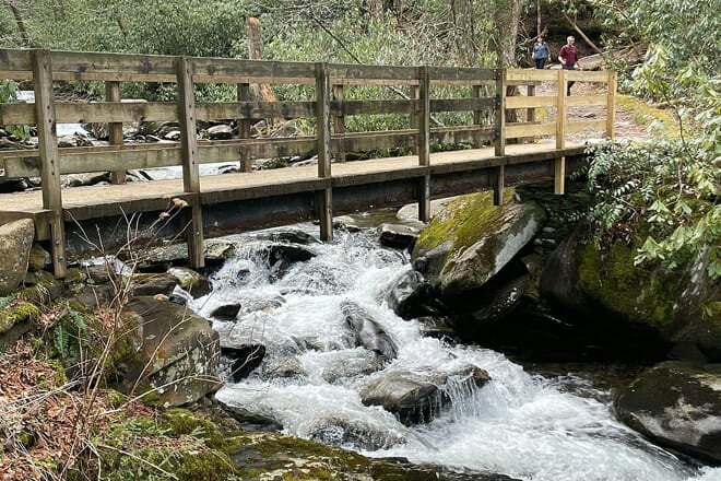 thundering streams and falls of the smokies guided hiking tour