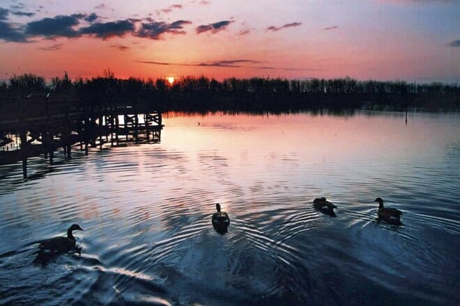 Tifft Nature Preserve &mdash; Perry