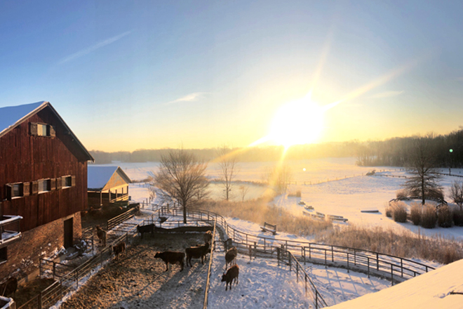 Traders Point Creamery &mdash; Traders Point