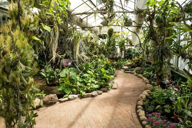 Tucson Botanical Garden &mdash; Pima