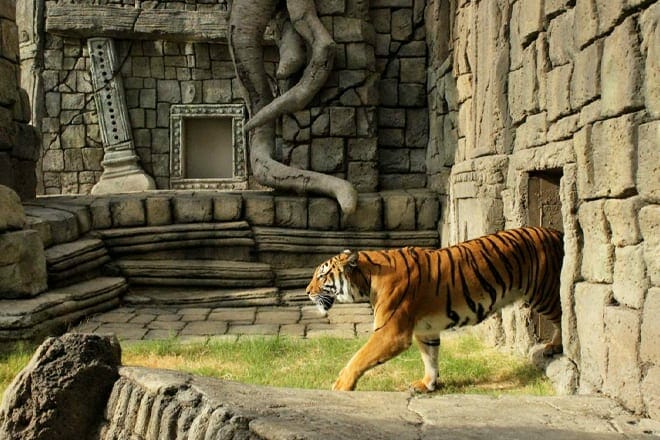 Tulsa Zoo &mdash; Mohawk Park