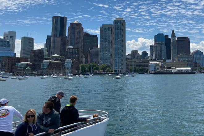 Whale Watching Catamaran Cruise