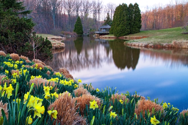 Wheaton Regional Park &mdash; Montgomery