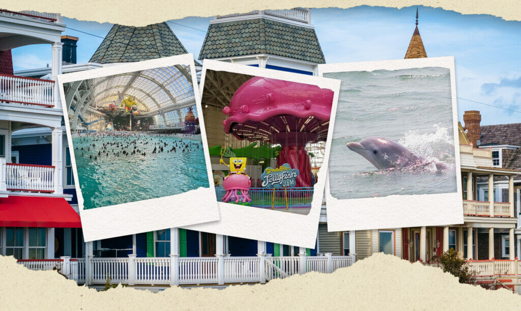 fun things to do in new jersey with kids travel photo