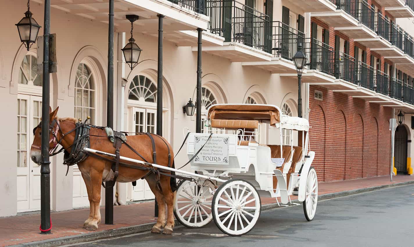 Fun Things To Do In New Orleans With Kids