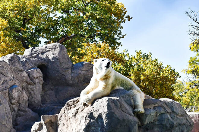 ABQ BioPark Zoo — Barelas