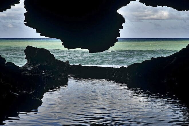 Animal Flower Cave &mdash; Conneltown