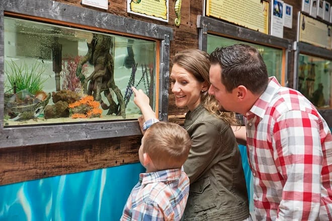 Aquarium & Shark Lab by Team ECCO — Hendersonville