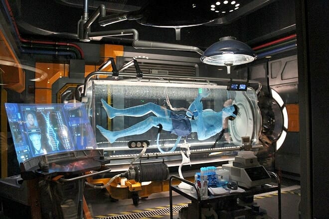 Avatar Flight of Passage