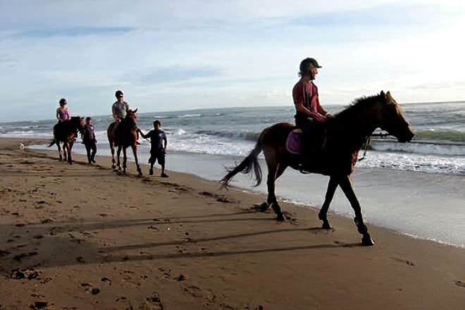 Bali Equestrian Centre